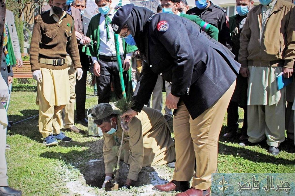 Ismaili Muslim Community in Lower Chitral launches tree plantation ...
