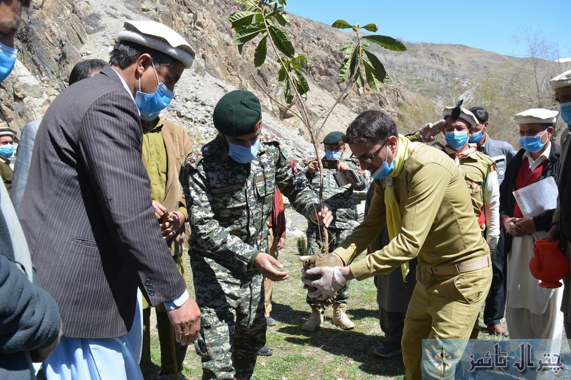 Spring plantation: A viable solution to combat climate change - Chitral ...