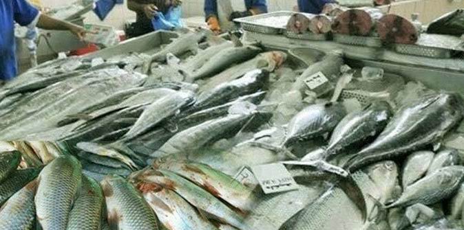 Pakistan targets $600 m in seafood exports for FY 2025–26, says Junaid ...